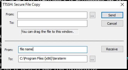 Export MySQL Global Variables-Linux - CHG IT CONSULTANCY PVT LTD